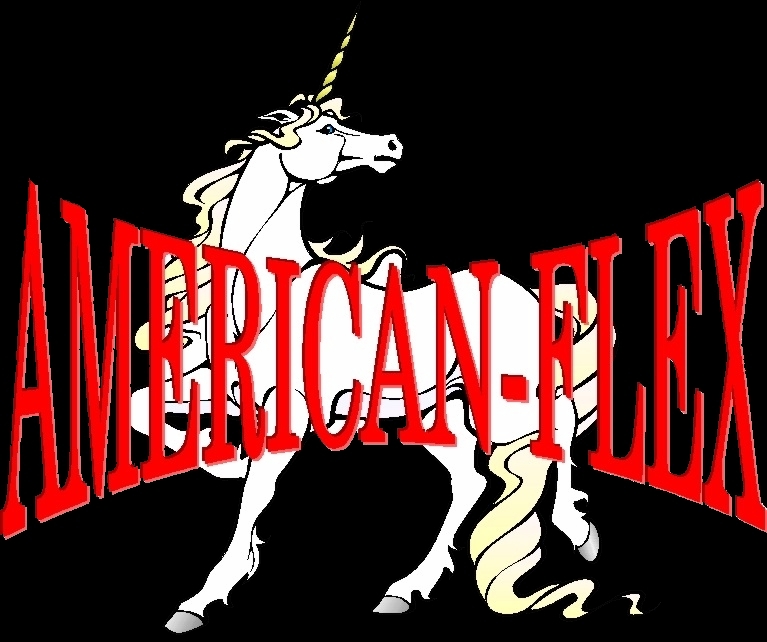 Homepage des Hersteller des American Flex Sattel